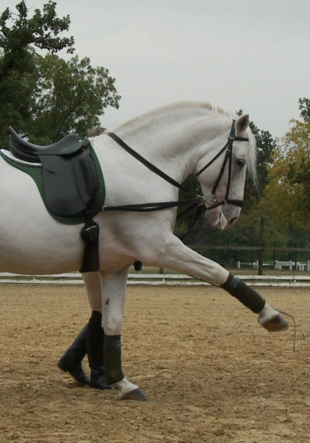 AV-ARKKI: TAIDETTA TAITEEN VUOKSI: ABOVE & UNDER - Cinema Orion